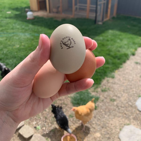 Mini Egg Stamp | Homesteading | Farm Stamp | Egg Marking | Egg Stamper ...