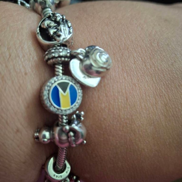 Pandora Charm Pandora Florida Cruises Exclusive Charm Charms for ...