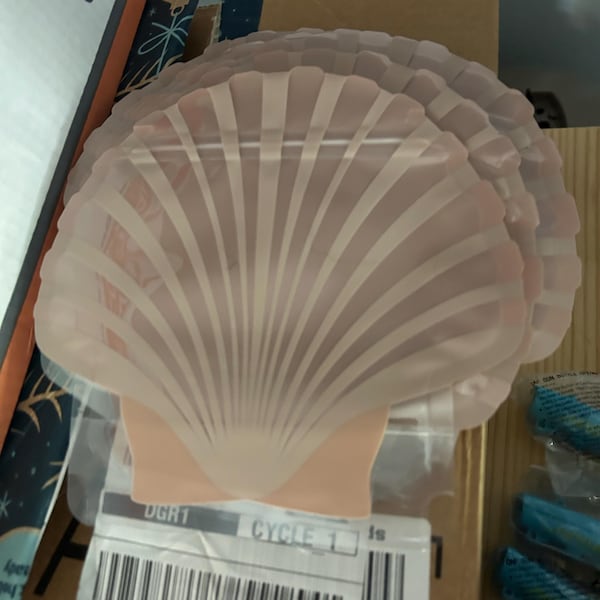 Hangover Kit, Mermaid Seashell Bags, Girls Beach Party Gifts, Sea Shell ...