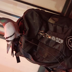 SCP Logo Holographic Sticker 3-inch RESTOCKED - Etsy