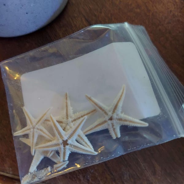 4 Pc Mini Lotus Pod Climbers - Tank Enrichment - Etsy