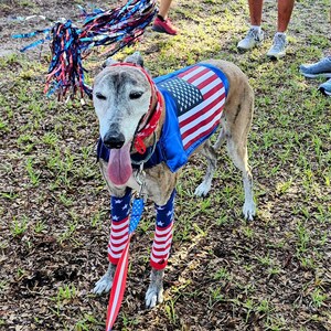 Greyhound Coats, Greyhound Track Coats. Nylon Dog Coats, Fleece Lined ...