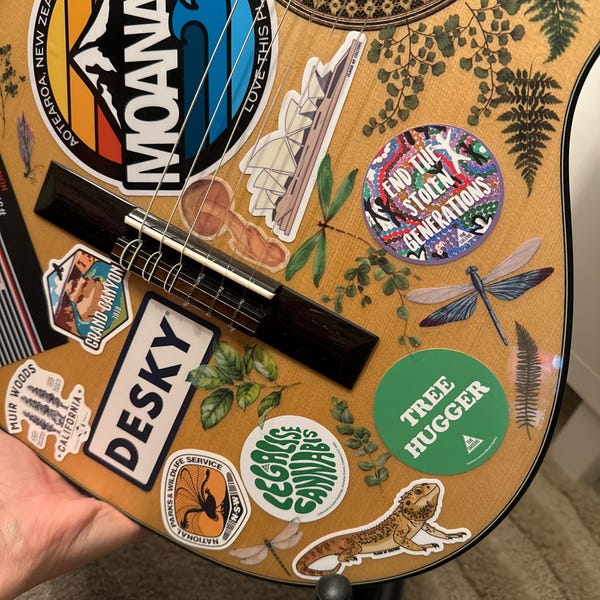 Kiwi Bird Sticker, Kiwiana Sticker, Native Birds From New Zealand, NZ ...