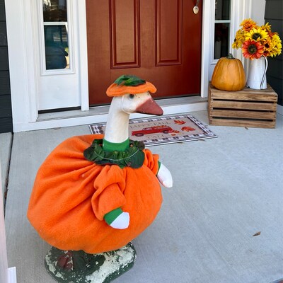 Goose Clothes and More: Gary Goose Needed a Red Slicker Goose Outfit by ...