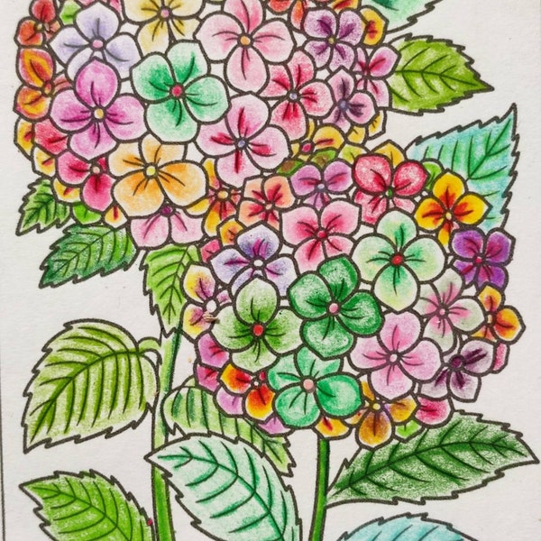 Nursing Cheat Sheet Notes Etsy