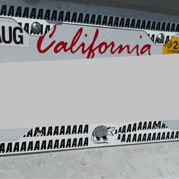 Opossum License Plate, Possum Car Decor, Funny Car Accessories for Men ...
