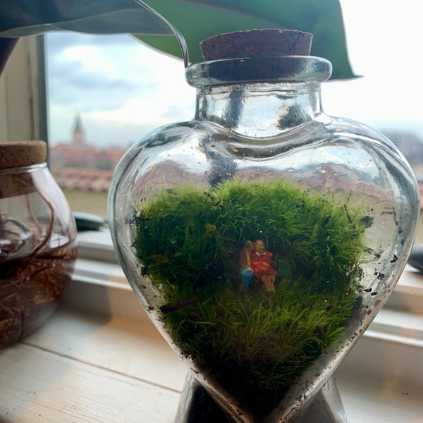 Moss Terrarium “tiny Ireland” - Etsy