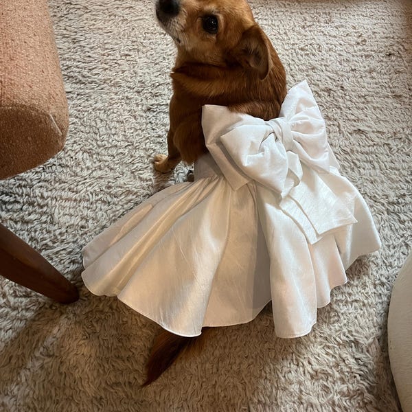 Dog Rugby Shirts. Dog Clothes. Dog Sweatshirts. Dog Outdoor Attire ...