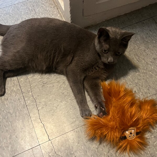 Loch Ness Monster Catnip Cat Toy - Etsy