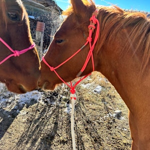 Neck Rope, Liberty Line, Liberty Rope, Bridless Riding - Etsy
