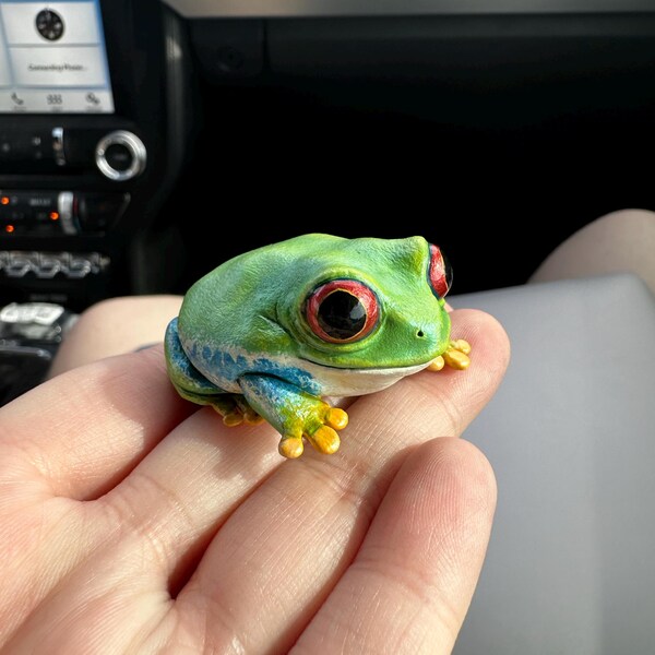 Sad Avocado Realistic Black Rain Frog Friend Deskpal - Etsy Canada