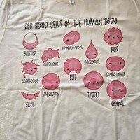 7 Sacred Teachings for Kids Seven Grandfather Teachings Posters ...