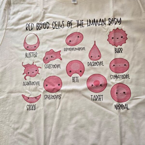 Funny Science Class Posters Hilarious Facts Science Teacher Classroom ...