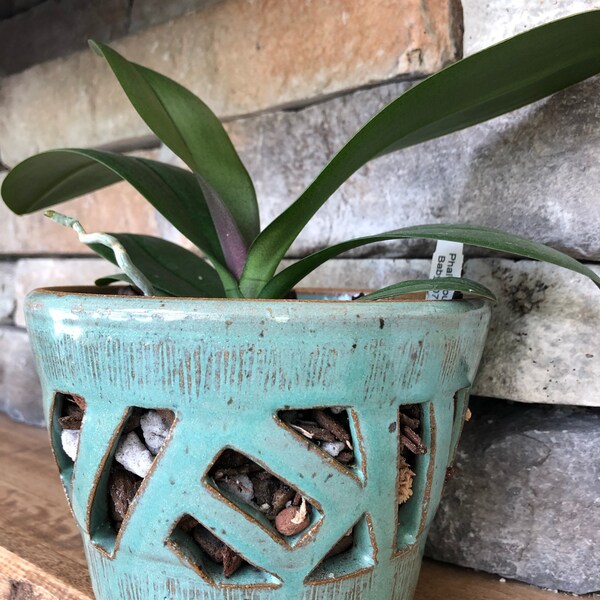 Cremation Jar With Lid, Wheel-thrown Large Jar, Urn for Pet Ashes ...