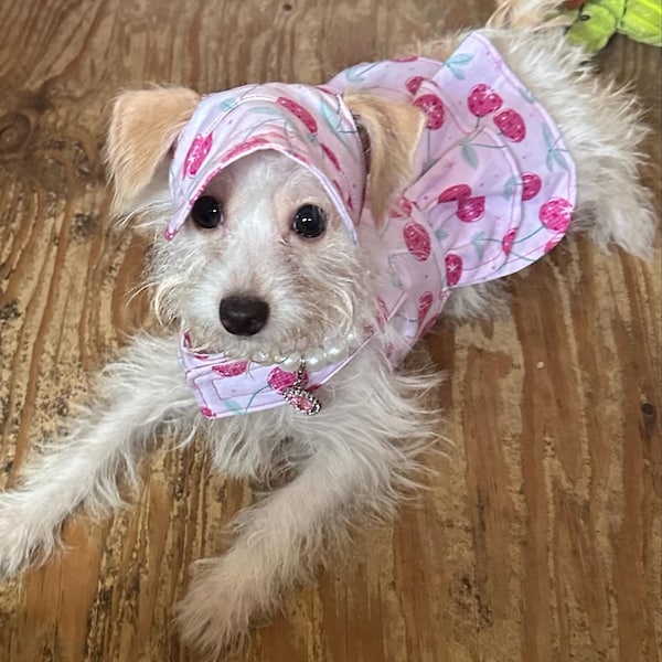 Dog Snuggle Bed Sewing Pattern and Tutorial PDF - Dog Sleeping Sack ...