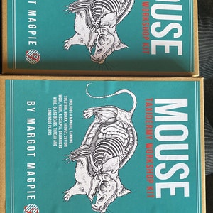 DIY Mouse Taxidermy Craft Kit Inc. Manual and Full Tool Kit for ...