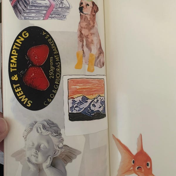 Mystery Sticker Pack,- Pinterest Aesthetic Stickers, Waterproof ...