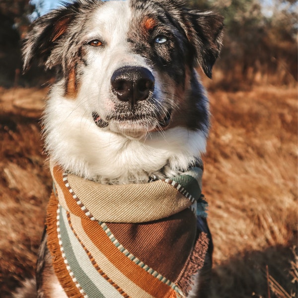 Tree Hugger (desktop and Mobile Lightroom Single Preset for Instagram ...