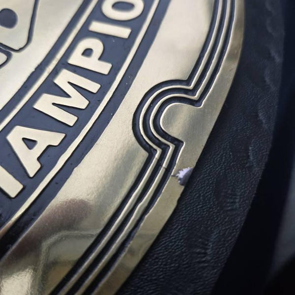 D - 29 All Designs Customized Wrestling Belts, Championship Belts, Send ...