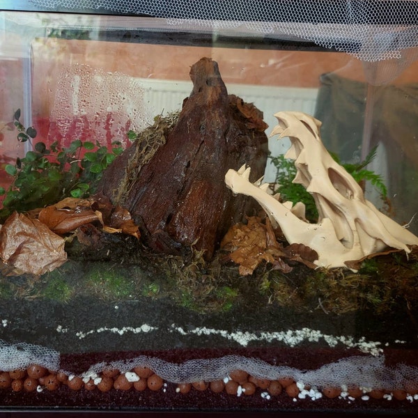 French Bulldog Frenchie Planter Plant Pot . 3D Printed - Etsy