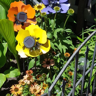 One Metal Poppy Solar Light Flower - Etsy Canada