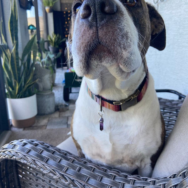 Custom Dog Collar, Crystal Cat Collar, Crescent Moon, Reiki Jewelry ...