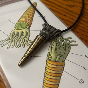 Bacteria Keychain Bacillus Bacterium, Microbiology, Microbe Keychain ...