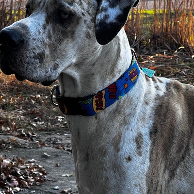 Rainbow Paw, 2 Inch, 1 Inch, Dog Collar, Big Dog Collar, Custom Dog ...