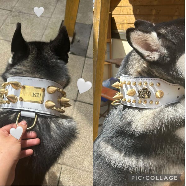 Extreme Collars Handmade Dog Collars Personalized Collars Dog Gift ...