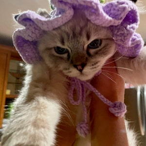 Flower Hat Crochet Hat for Cat or Small Dog Crochet Eggplant Hat ...