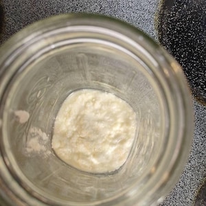Milk Kefir Grains Raw Live Organic Local Farm Homemade Caucasus Origin ...