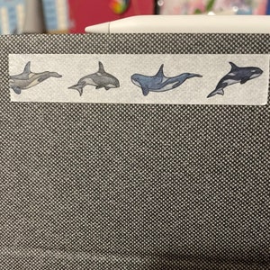 Shark Washi Tape, 10 Metres, 1.5cm, Stationary, Planner - Etsy