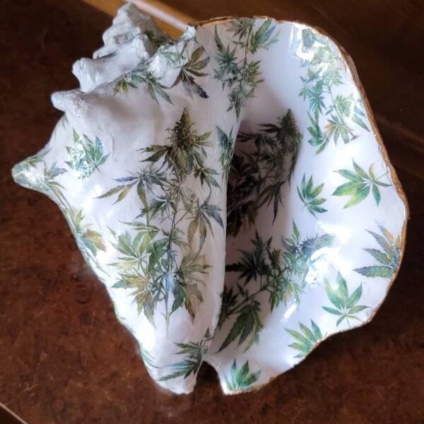 Conch Shell, Vintage Maps, Old Nautical Maps, Nautical, Coastal Home ...