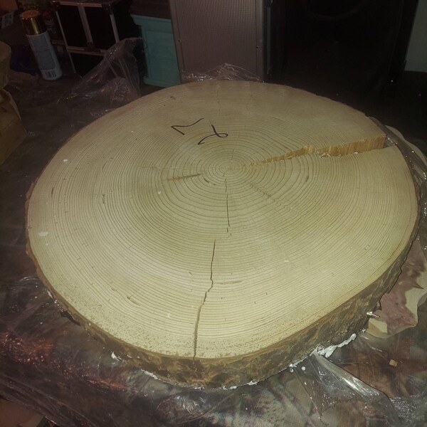 1.3/8by 22 Spalted Sycamore Tree Slice Hole Mirror Project Wood ...