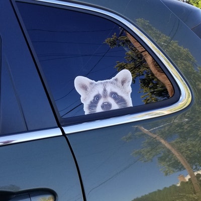 Peeking Raccoon Car Sticker Decal / Funny Raccoon Head Face Animal ...