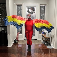 Minotaur, Bull Mask, Mythological Beast, Taurus, Black Bull, Ferdinand ...