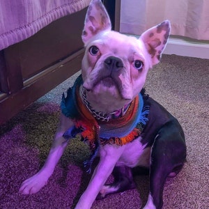 Curriculum Maps for Homeschooling Pre-k-10th Visual Lesson Planning ...