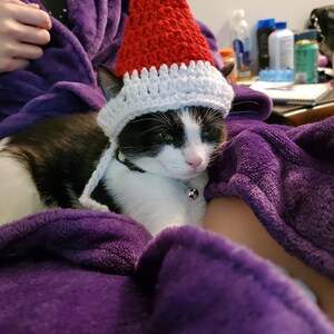 Elf Hat for Cats - Etsy