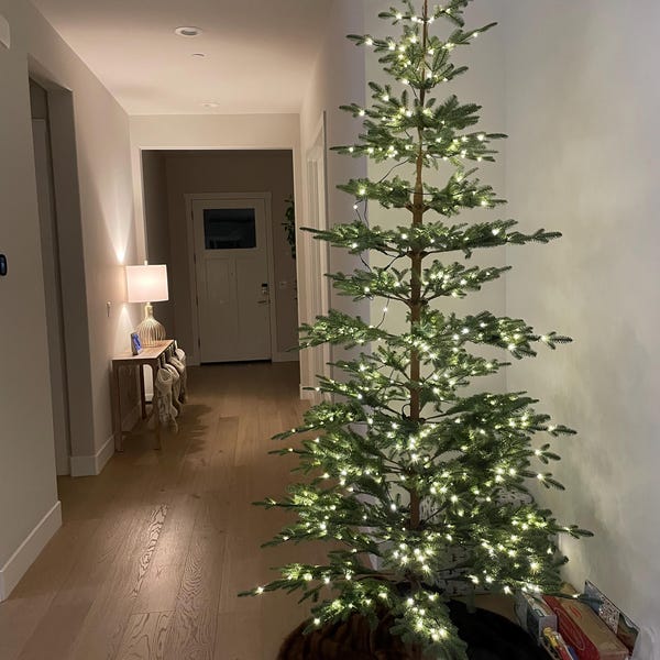 Vintage Blue Fox Pelt Stole With Chin Clip 1940s 1950s 1960s Real ...