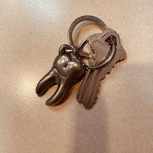 Human Tooth Keychain Tooth Anatomy Accessory - Etsy