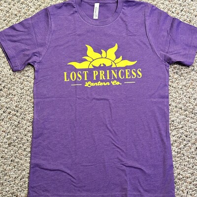 Best Aunt Ever Shirt Funny Family Shirts Aunt Gift Gift for Aunt Cool Aunt Auntie Shirt Favorite ...