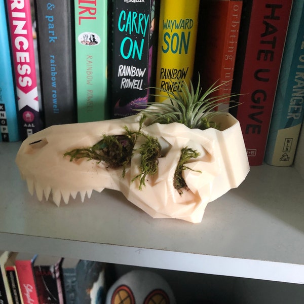 T-bone the T-rex Skull Planter With Plants - THE ORIGINAL! - Nontoxic ...