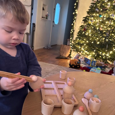 Rainbow Acorn Sorting Set montessori Hand Painted - Etsy