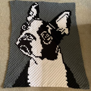 Smiley Face Afghan C2C Crochet Pattern Written Row Counts | Etsy