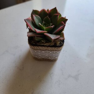 Congrats Gift Box for Her Way to Go Gift for Best Friend - Etsy