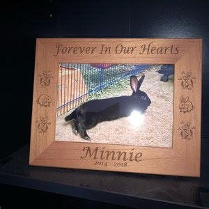 Bunnies, Memory Bunny, Bunny Remembrance, Bunny Memorials, Rabbit ...