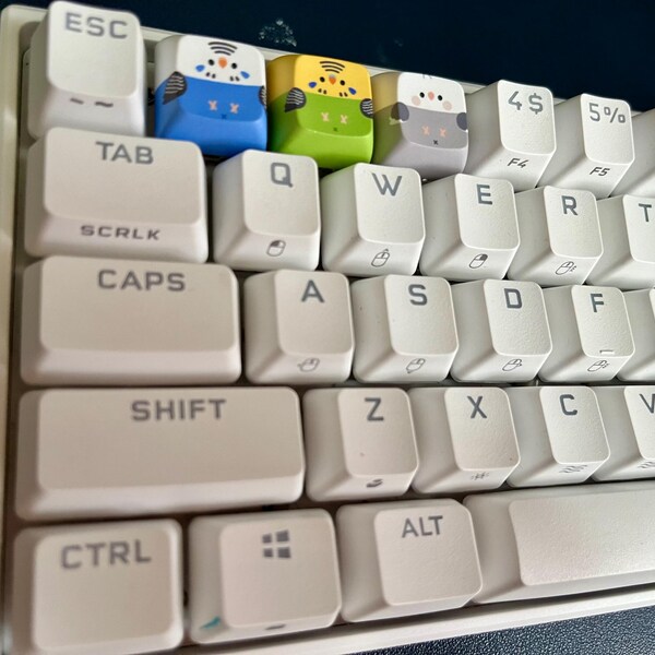 Birdy Keycaps for Mechanical Keyboard - Etsy