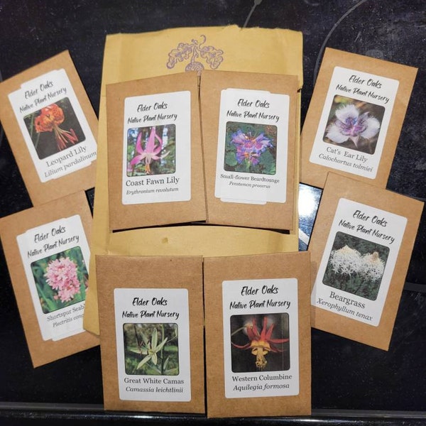 Checker/chocolate Lily (fritillaria Affinis) ~ 100 Seeds *pacific ...