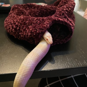 PATTERN ONLY: Large Snake Cozy - Etsy