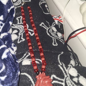 Anatomical Heart Magnet Set, Medical Human Organs Kitchen Magnet, EMS ...